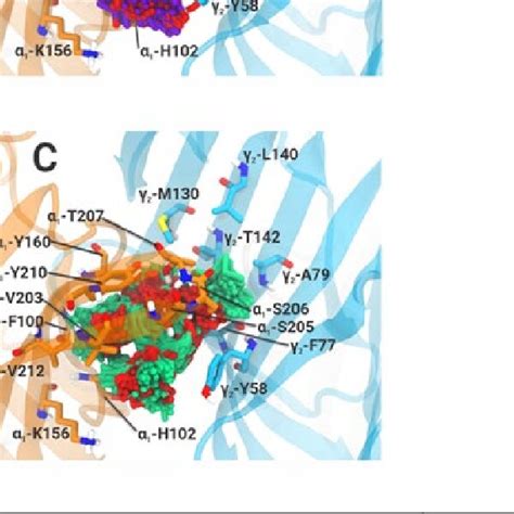 Binding Mode Of The Compounds 1 And 2 Most Populated Clusters Gabaa Download Scientific