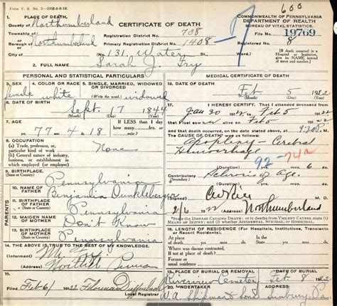 Sarah Jane Dunkleberger Ramer Fry 1844 1922 Find A Grave äreminne