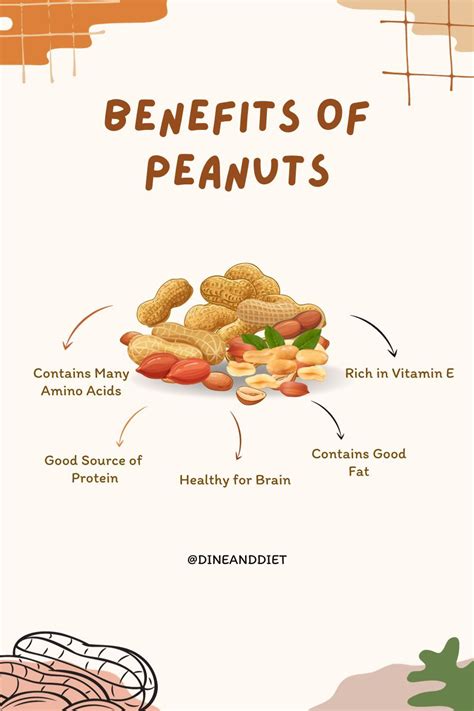 Peanuts 13 Health Benefits Nutrition And Possible Side Effects Artofit
