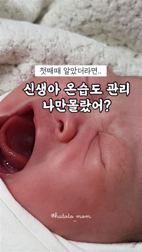 하또또맘ㅣ김은희 📍교육과 놀이를 동시에 다양한 놀이들이 이 한권에 다 있어요 소근육발달🆙️협응력집중력상상력🆙️ 다채로운 색감이 호기심까지 자극 색감구성크기