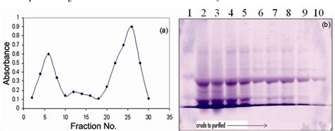 Cinnamic Acid Biosynthetic Process Semantic Scholar