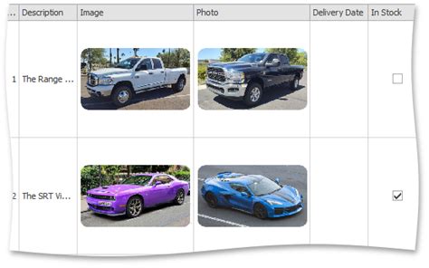 Tutorial Winexplorer View Basics Winforms Controls Devexpress