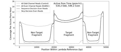 Lambda DNA Sequence Coverage Plot For Experiment B Showing The Effect Download Scientific