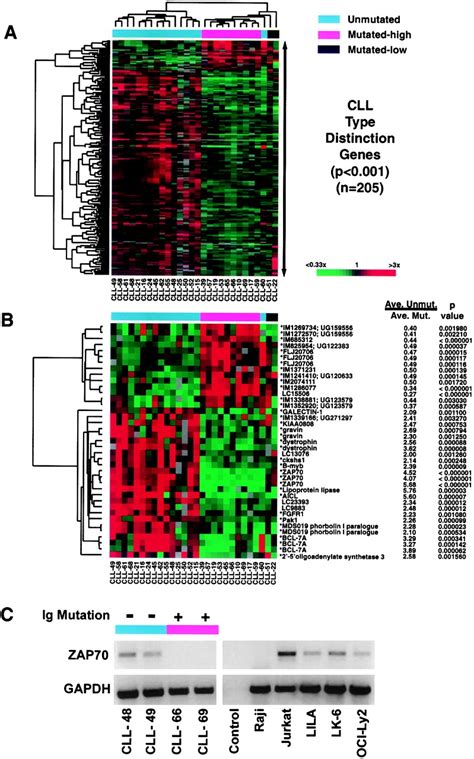 Relative Gene Expression Levels Of Cll Subtype Distinction Genes A