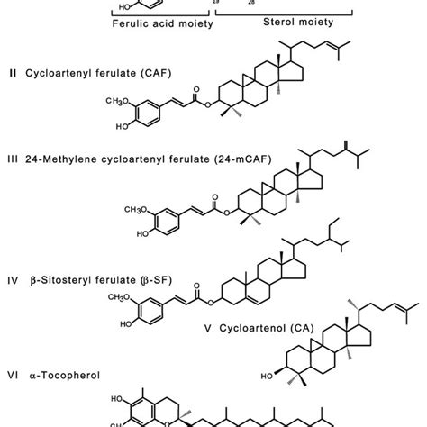 Structural Nomenclature Of Phytosteryl Ferulate Showing Ferulic Acid