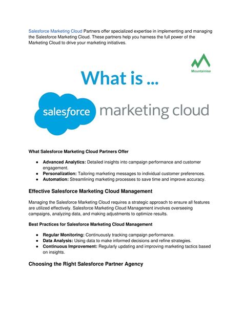 PPT - Salesforce Consulting Services for SF Market PowerPoint Presentation - ID:13266600
