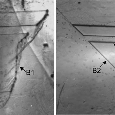 Pdf Extended Defects In Cdznte Radiation Detectors