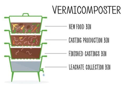Demonstration Introduction To Vermicomposting