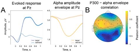 Temporal Similarity Between P300 And The Alpha Amplitude Envelope A
