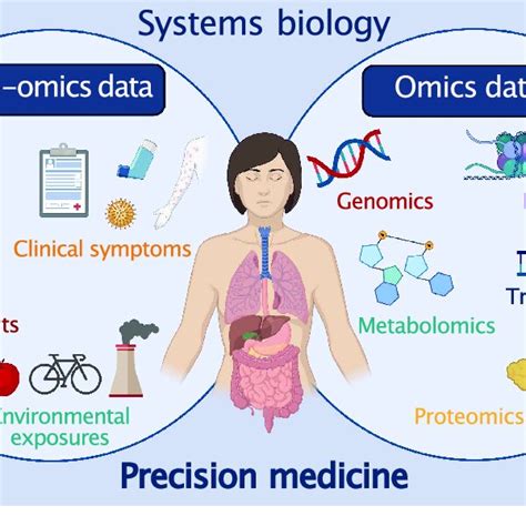 Metabolomics Workflow For Nontargeted Analysis After Biological Download Scientific Diagram