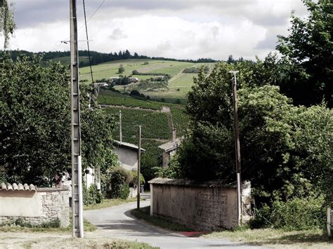 Daniel Bouland 2023 International Fine Wines
