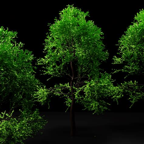 Modelling Custom Trees With Mtree Addon Blender On Behance