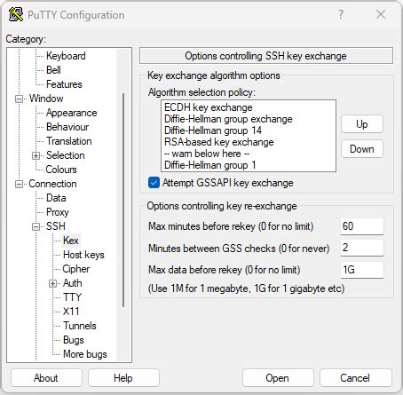 Debug Secure Shell SSH On NCS K Cisco