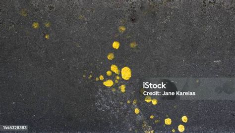 노란색 페인트 반점 배경과 벽지 질감이 있는 검은색 콘크리트 0명에 대한 스톡 사진 및 기타 이미지 0명 거리 거친 Istock