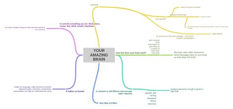 Your Amazing Brain Coggle Diagram