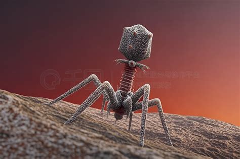 细菌ai数字艺术 细菌3d渲染深红色棕色病毒微观结构六边形外壳螺旋颈部细长腿插画 Ai平面元素免费下载 Png格式 4096像素 编号71817702 千图网