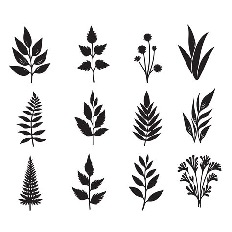 Silhouettes Of Plants Set With White Background 49997495 Vector Art At