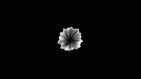 Particles In After Effects Behance