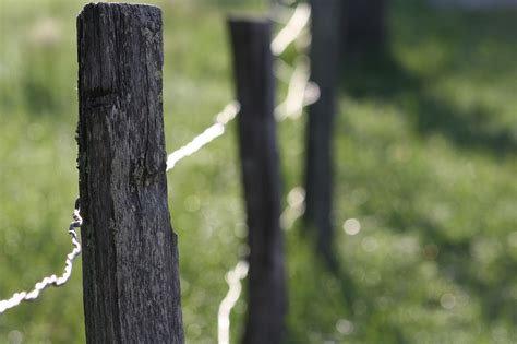 Fence Posts Country Free Photo On Pixabay Pixabay