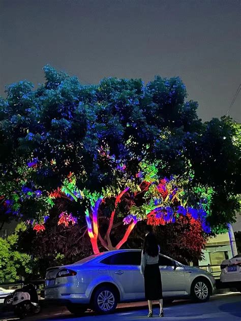 夜游灯青灯夜游大山谷图库