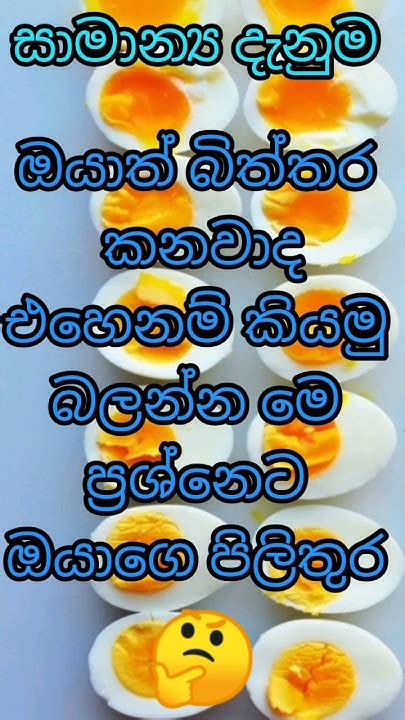 සාමාන්‍ය දැනුම General Knowledge කියමු බලන්න හරි පිලිතුර Srilanka Sinhala Shorts Video Youtube