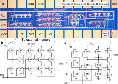 Flexible Microprocessor Holds Promise For Displays Sensors