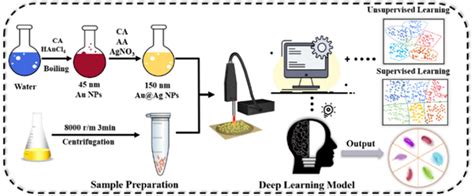 Raman Signals Emitted By Pathogenic Vibrio Microorganisms And Purine