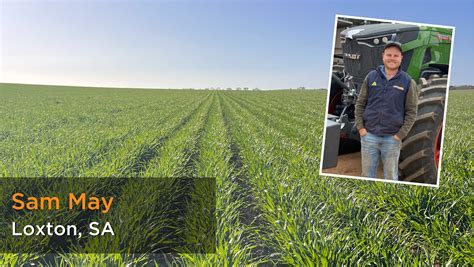 Paddock Perspective Sam May Loxton Sa Building A More Profitable And Sustainable Industry