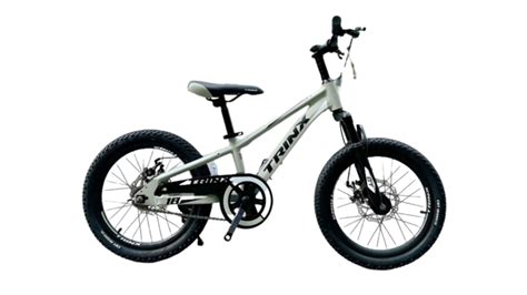 Trinx Gt18 Hung Bike