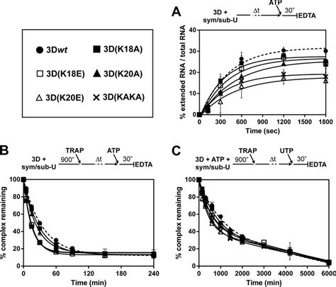 Association And Dissociation Of Fmdv 3d Pol Symsub U Complexes A Download Scientific