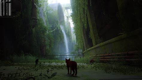 Stray Pc Performance Analysis