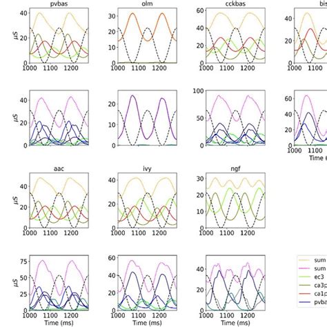 Synaptic Conductivities Two Theta Cycles Of The Simulation Using The