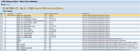 Sap Gateway Client