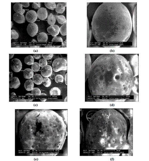 Sustained Release Floating Microspheres Of Acyclovir Formulation