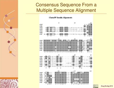 Ppt Computational Molecular Biology Biochem 218 Biomedical Informatics 231 Biochem218