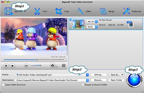 The Best Avi Swf Converter Bigasoft Total Video Converter
