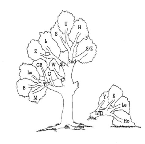 idealised execution of the second iteration of a strong inference