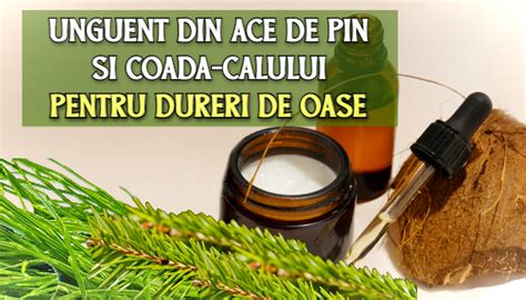 Unguent Cu Pin și Coada Calului Pentru Dureri Articulare Ghid De