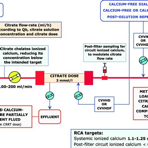 Pdf Regional Citrate Anticoagulation For Rrts In Critically Ill