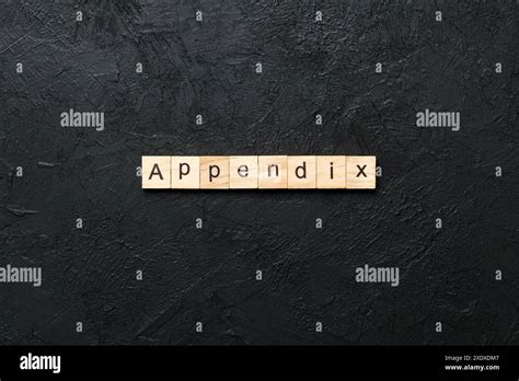 appendix word written on wood block appendix text on table concept