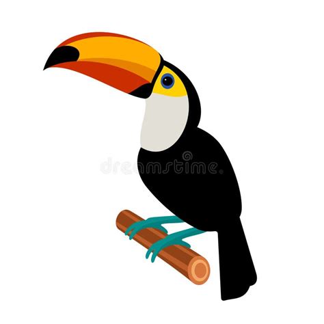 Toucan Tropical Bird Flat Style Vector Illustration Stock Vector