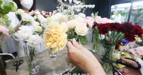 [포토]어버이날 부모님께 드릴 카네이션 직접 만들어요