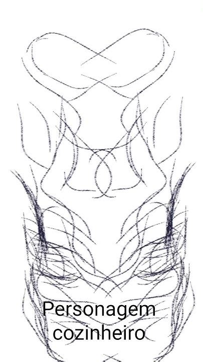 Cartonagem Digital Youtube