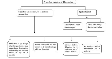 Outcome Of The Procedure Pda Patent Ductus Arteriosus Download