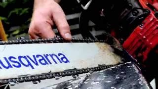 Best Tree Services In Victoria BC Expert Recommendations