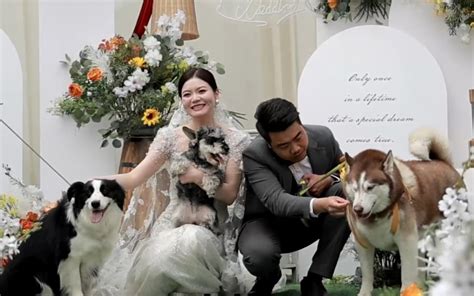 《我们结婚了！！！》 哔哩哔哩