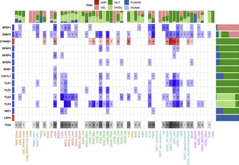 Extensive Alteration Of Wnt Pathway In Most Cancer Types Ctnnb1 Was The