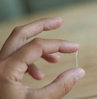 Cervical Mucus Stages And Tracking