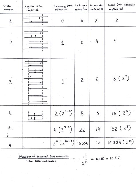 PCR Amplification And Error Propagation Biology Stack Exchange