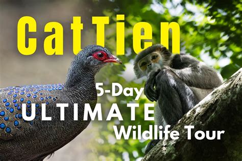 Cat Tien 5 Day Ultimate Wildlife Tour